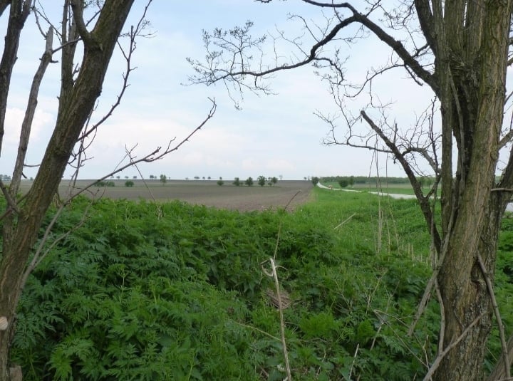 Pozůstatky po drážce :: Židlochovická Řepařská Drážka